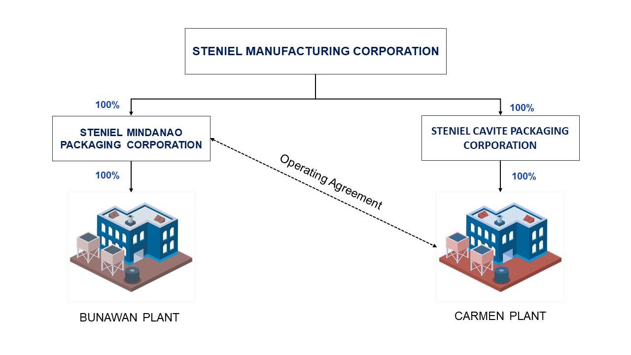 Group Corporate Structure | Steniel Manufacturing Corporation